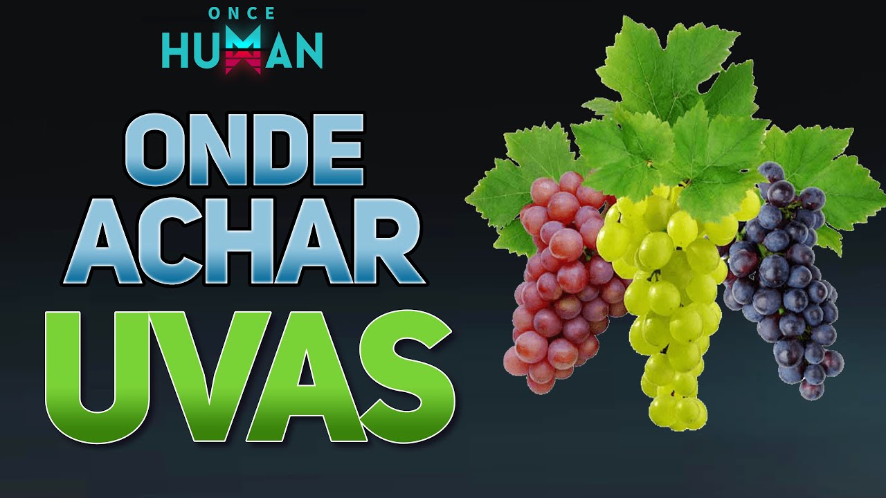 LOCALIZAÇÃO DE ONDE PEGAR UVAS - ONCE HUMAN - YouTube