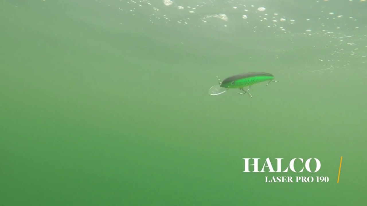 How Lures Swim: Halco Laser Pro 190 - YouTube