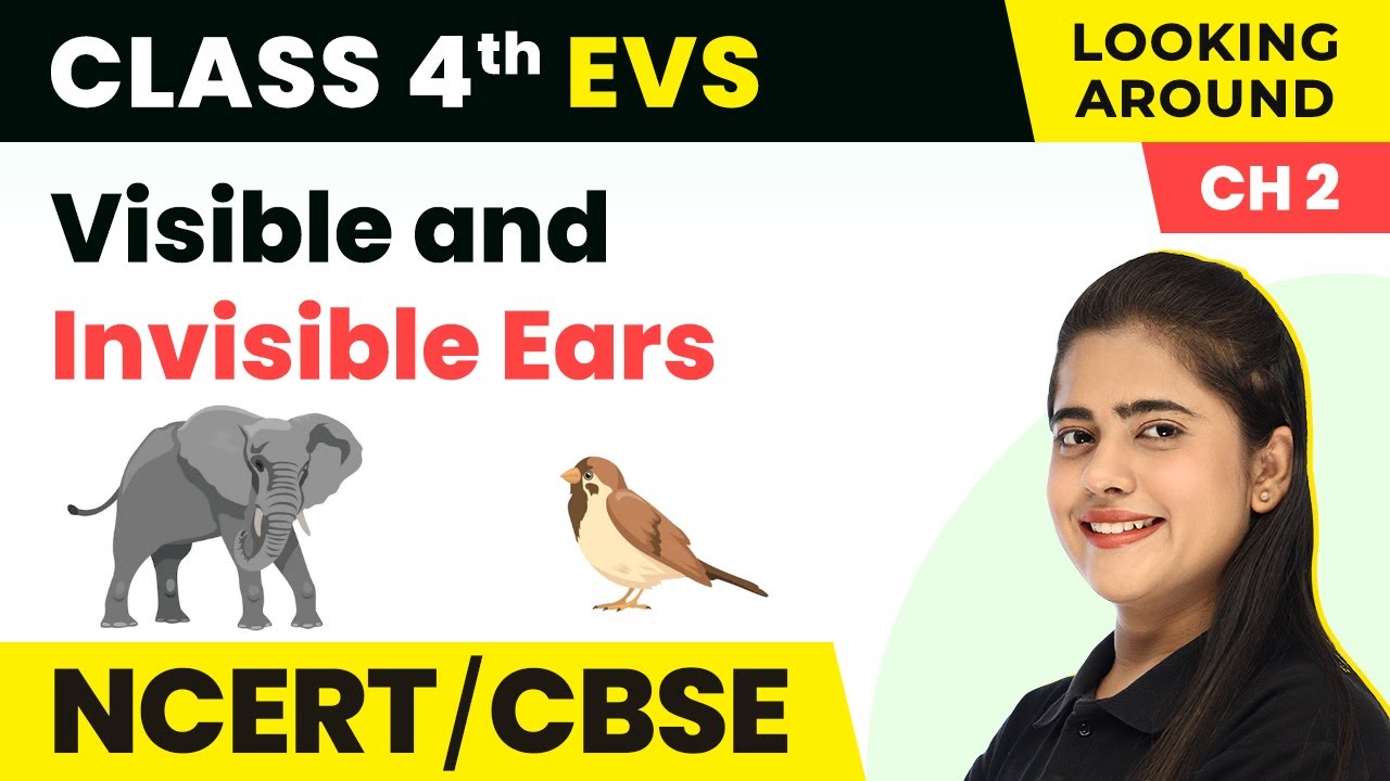 Visible and Invisible Ears - Ear to Ear | Class 4 EVS - YouTube