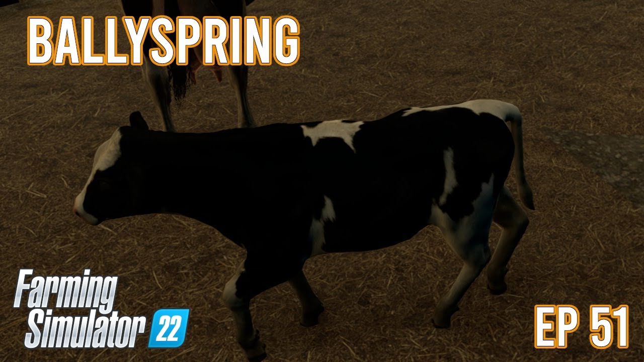 WE HAVE BABY COW!! | BALLYSPRINGS | Farming Simulator 22 - ep 51 - YouTube