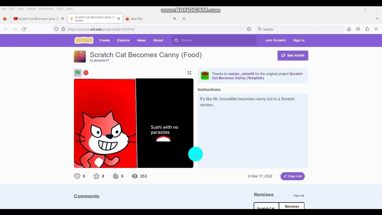 scratch cat becoming canny - YouTube