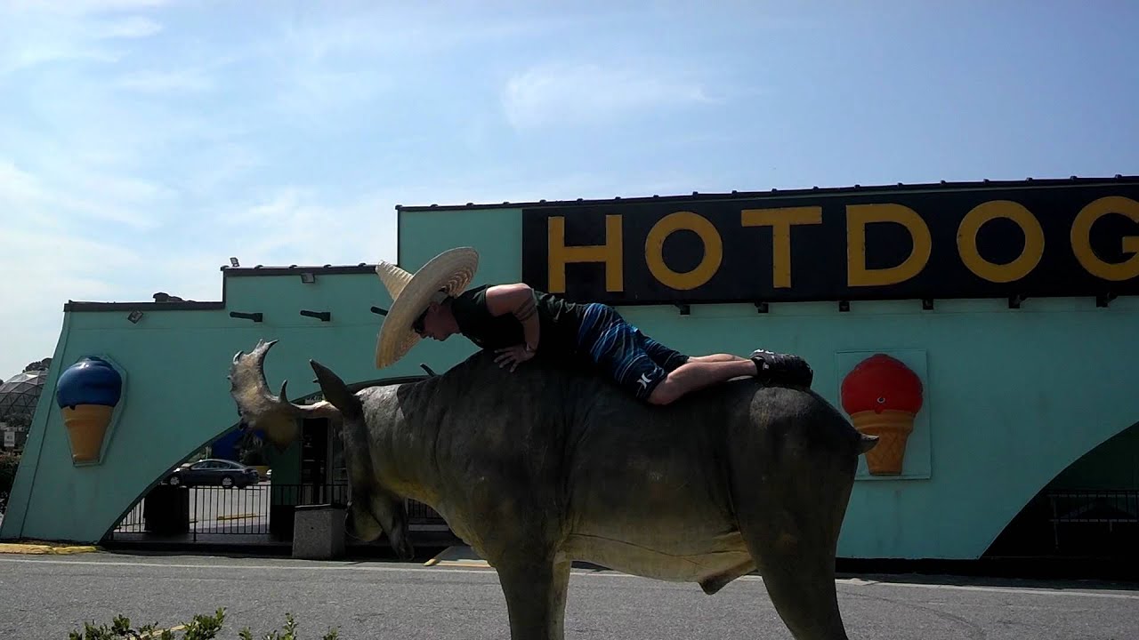 Do Less! Kunu South of the Border Moose Head Surf Style Forgetting ...