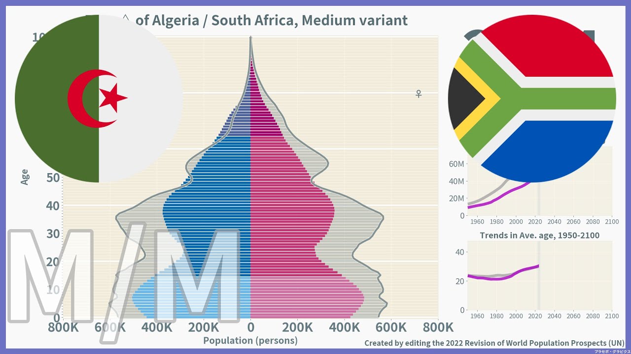 [🇩🇿Algeria vs 🇿🇦South Africa] Comparison of Population Pyramids (1950 ...
