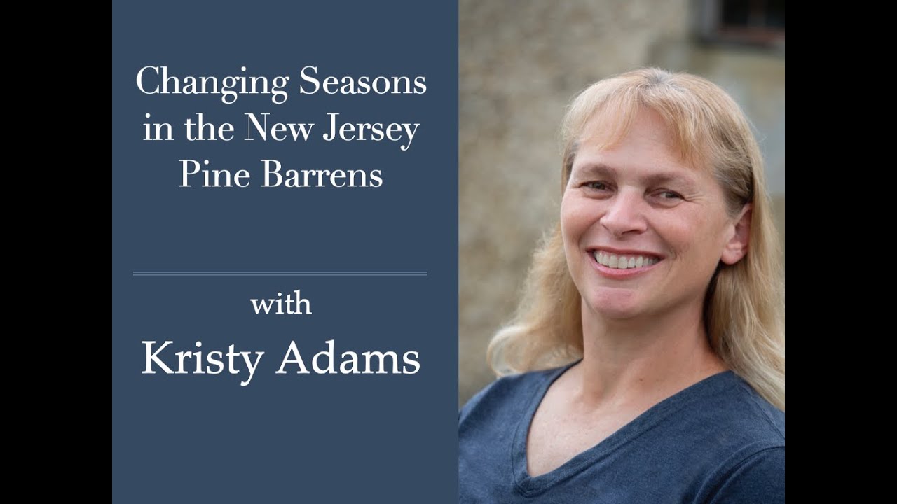 Changing Seasons in the New Jersey Pine Barrens with Kristy Adams - YouTube