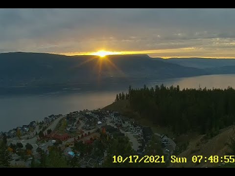 Hummingbirds LIVE Okanagan Lake, BC #nature #vernonbc #wildlife - YouTube