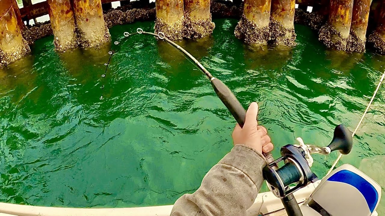 ROD TIP DIPPERS - December Bridge Fishing NC - YouTube