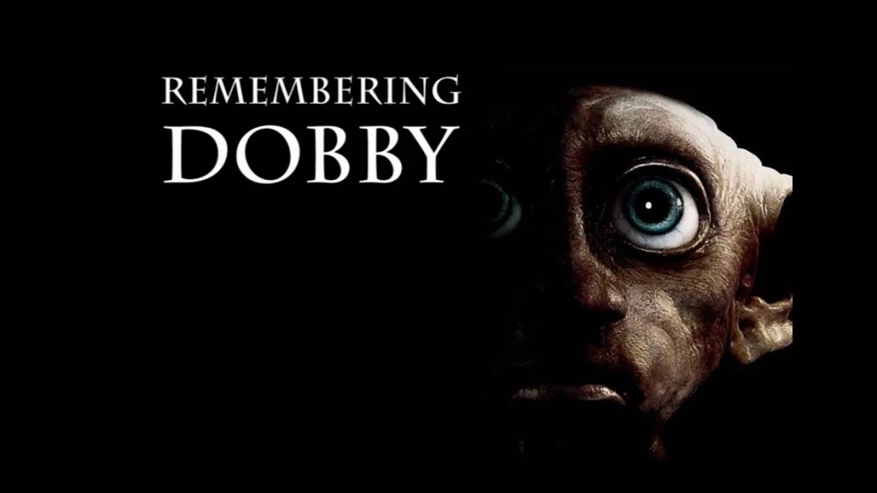 REMEMBERING DOBBY'S BIRTHDAY AND REMEMBERING DOBBY - YouTube