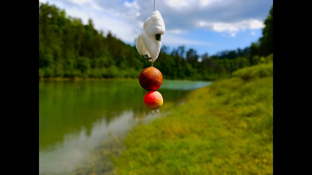 DIVLJI ŠARAN SA LEŠĆA - YouTube