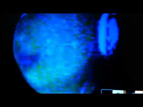 Daba Dee Daba Daa - spadi ediction