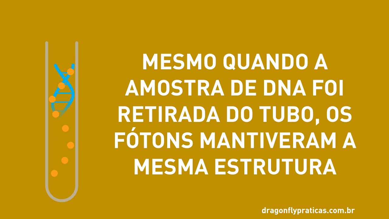 DNA Phantom Effect - YouTube