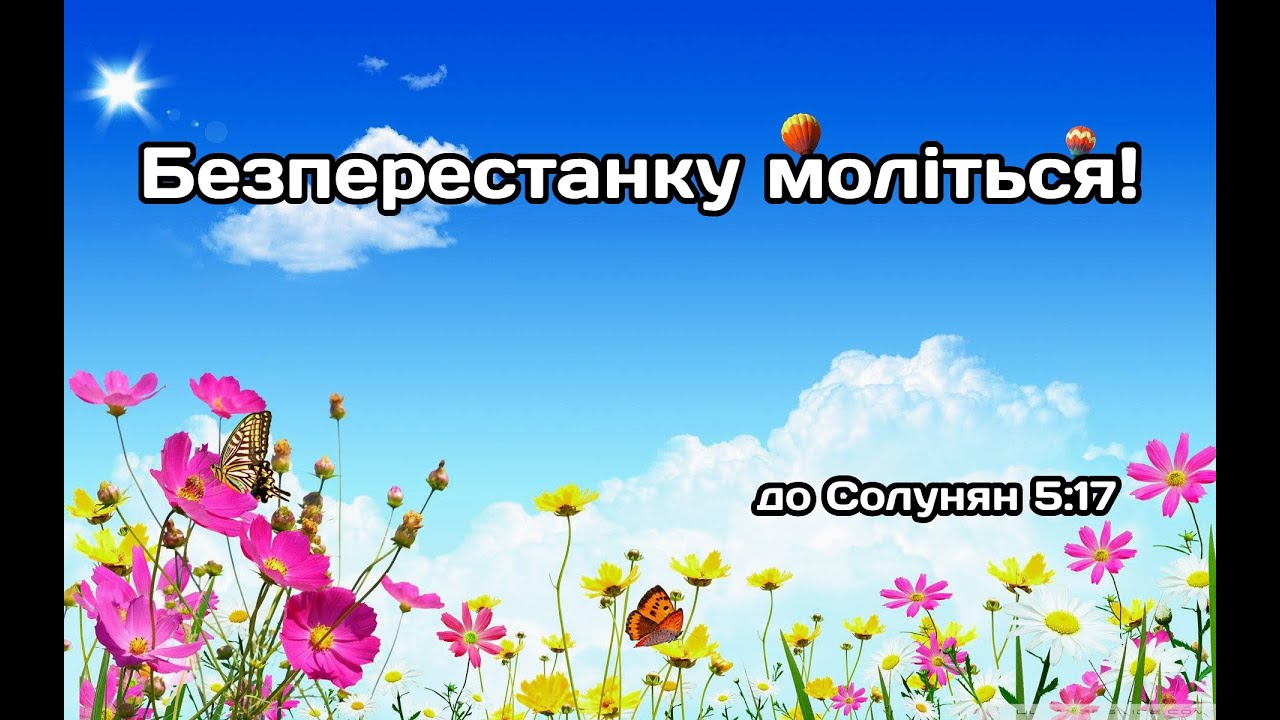 29/12/2024 - YouTube