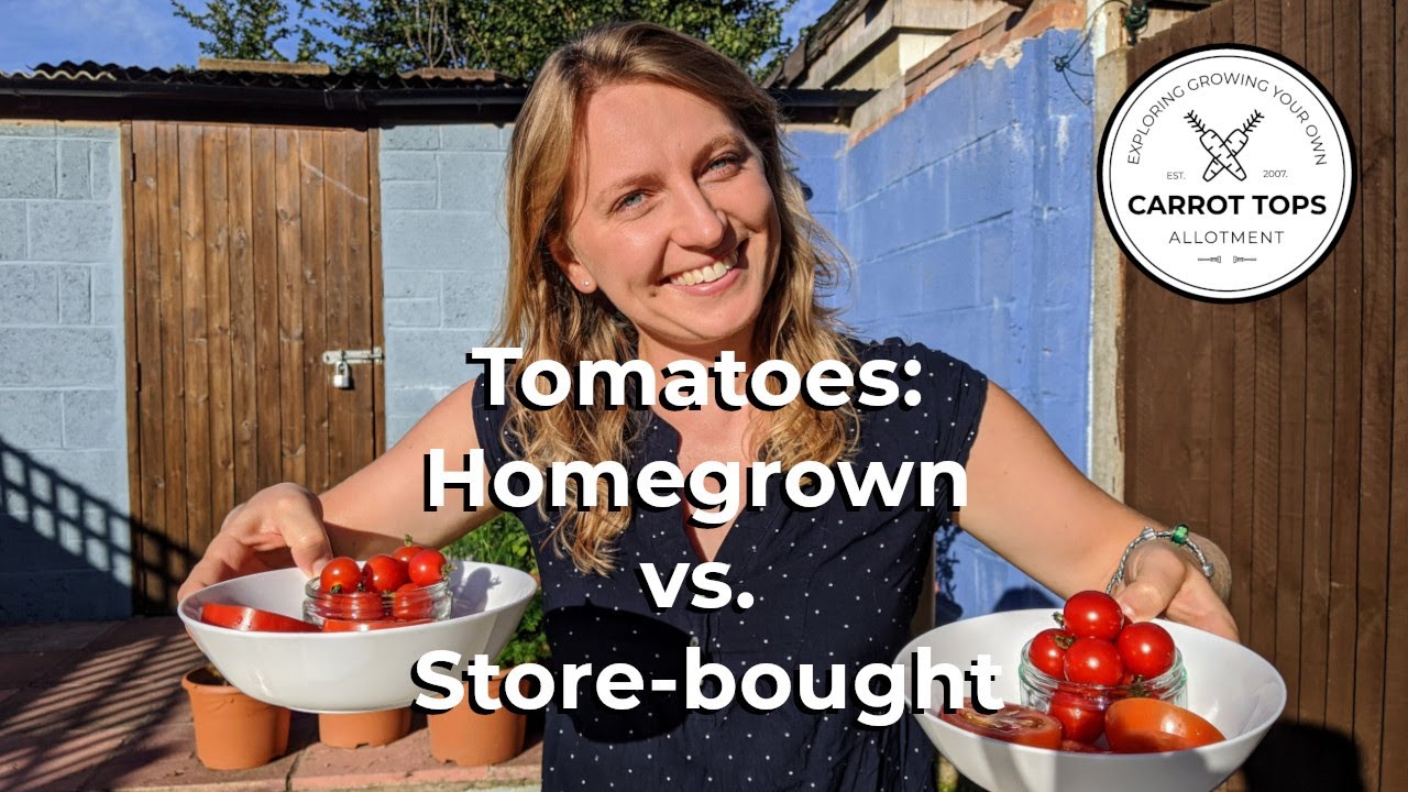 Tomatoes Home grown vs Store bought - YouTube