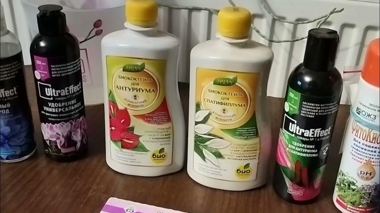 Зимние подкормки для комнатных растений! - YouTube