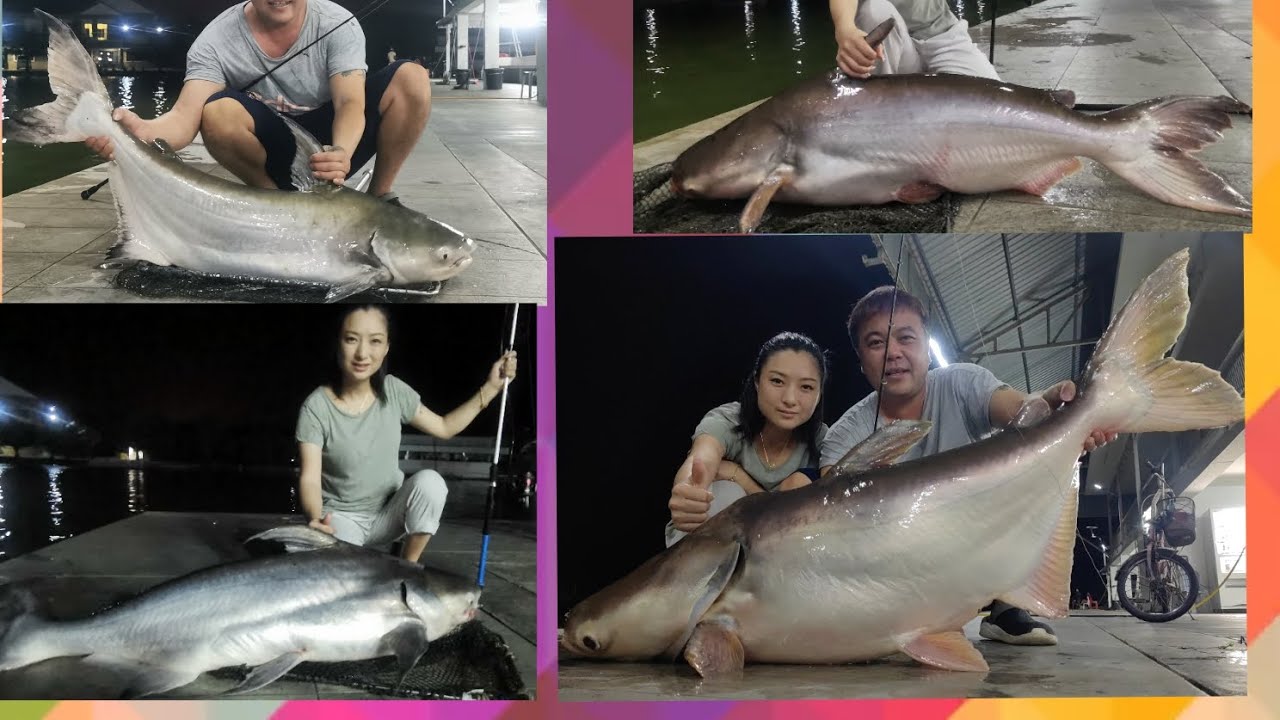 Training my wife fishing monster big fish at Natural Exotic Fish ...