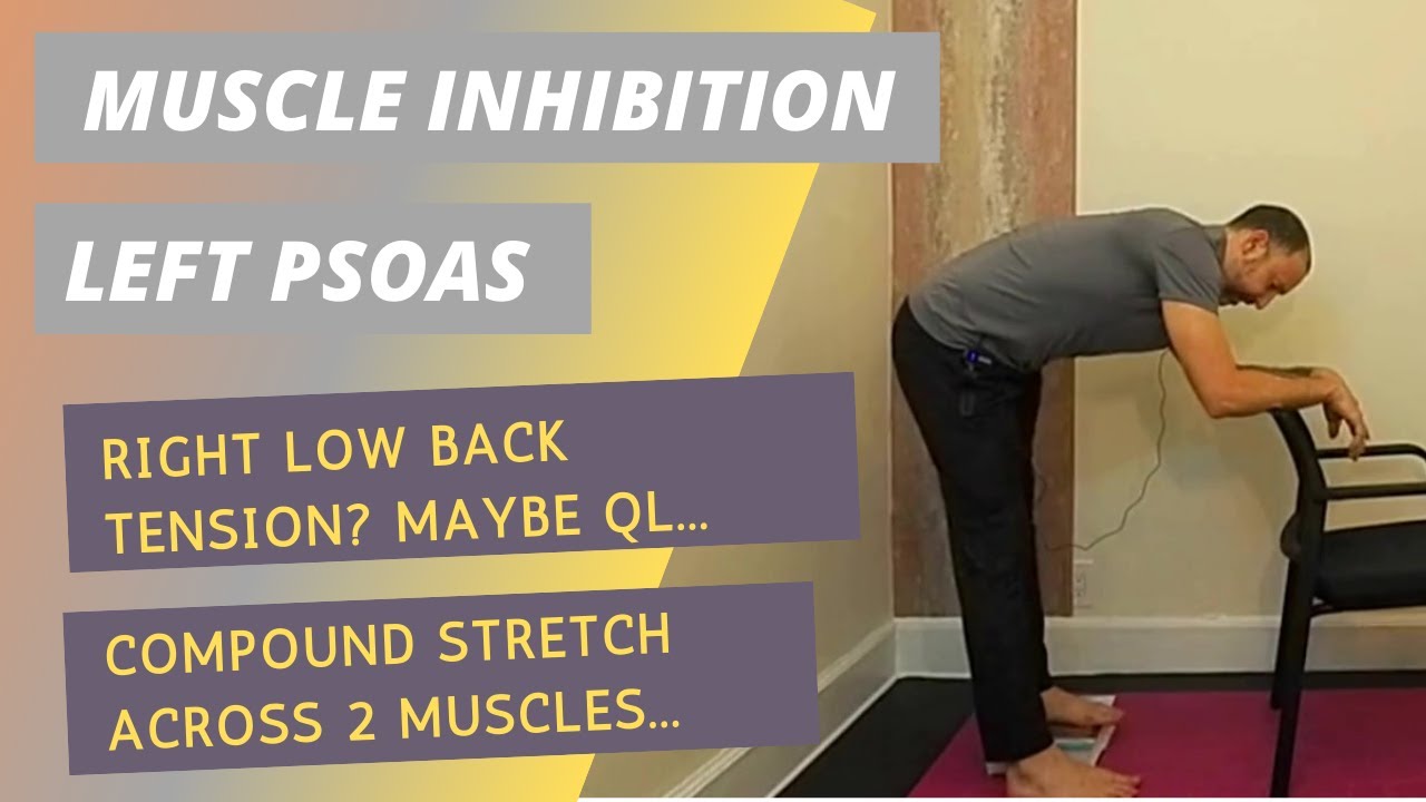 Inhibition - Left Psoas and Right QL with Hip Approximation (Profile ...