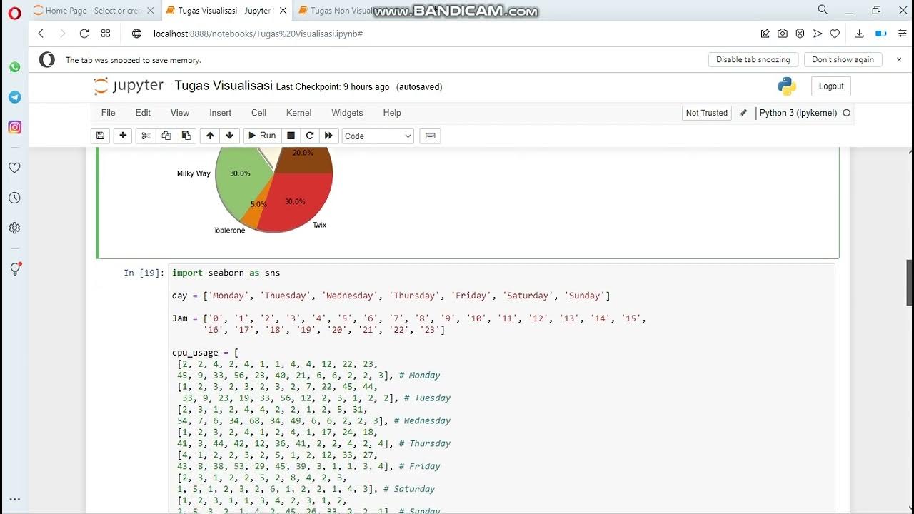 Penjelasan Tugas Python Data Undersatnding (Visualisasi), Informatika Universitas Nurdin Hamzah ...