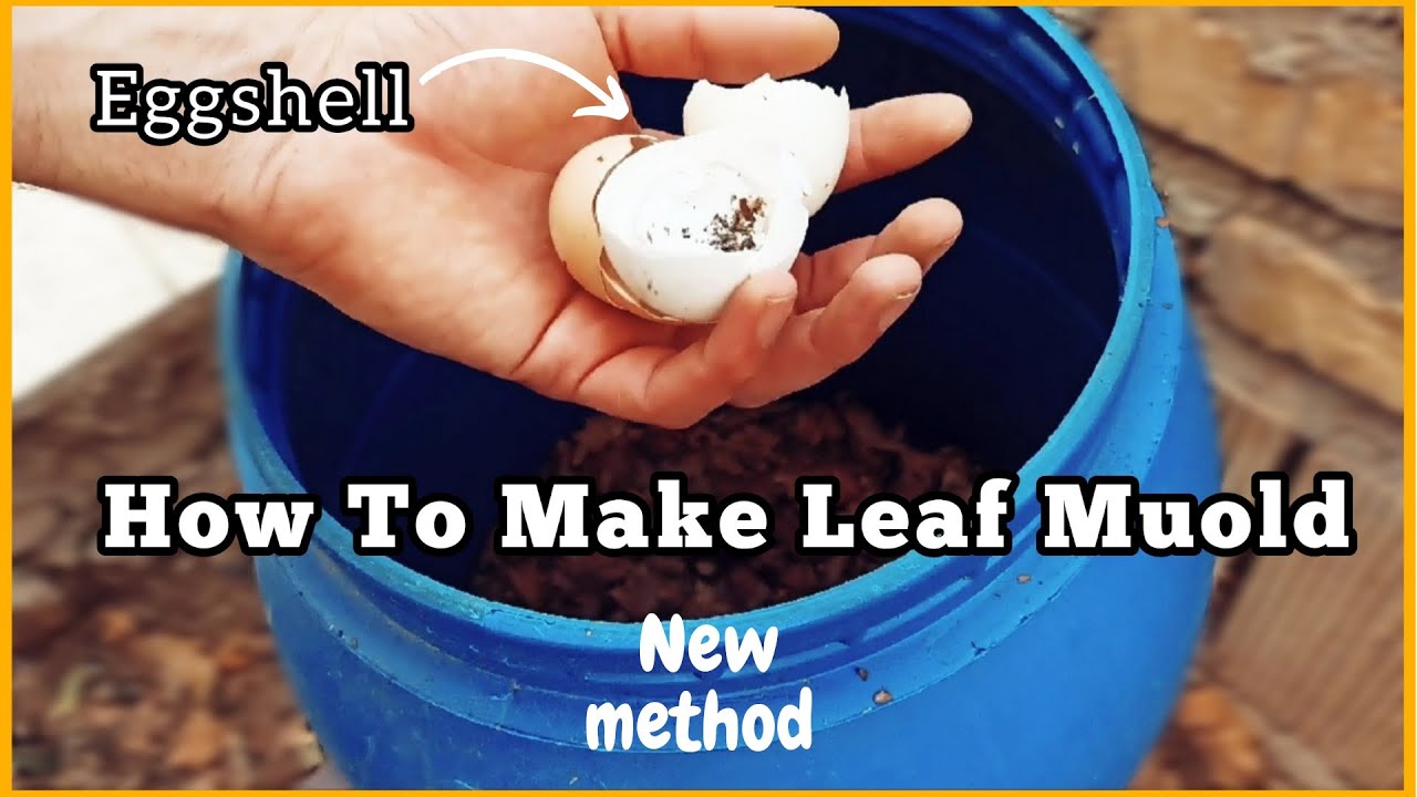 How to make Compost fast in a trash can/using scraps correctly - YouTube