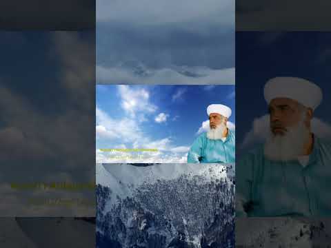 İslamı Anlatmayan Hocalar Timurtaş Hoca 
