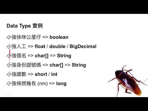 【粵語粗口教Java】Ch02 - 屌你，型別 - YouTube