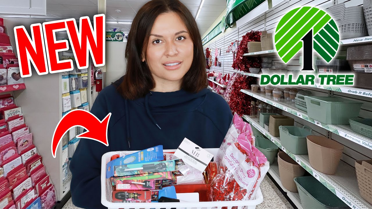 I Bought New Dollar Tree Products: Dollar Tree Items That You Need ...