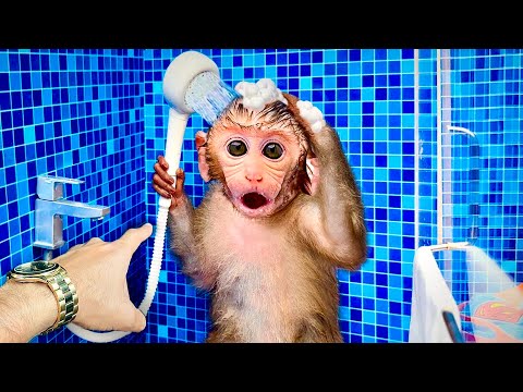 MACACO BEBÊ TOMANDO BANHO SOZINHO PELA PRIMEIRA VEZ