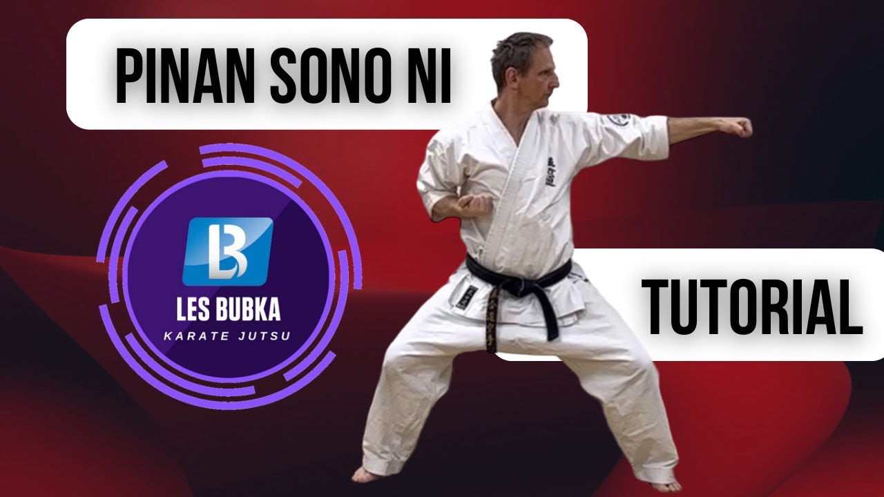 Pinan Shodan / Heian Nidan / Pinan Sono Ni Tutorial - YouTube