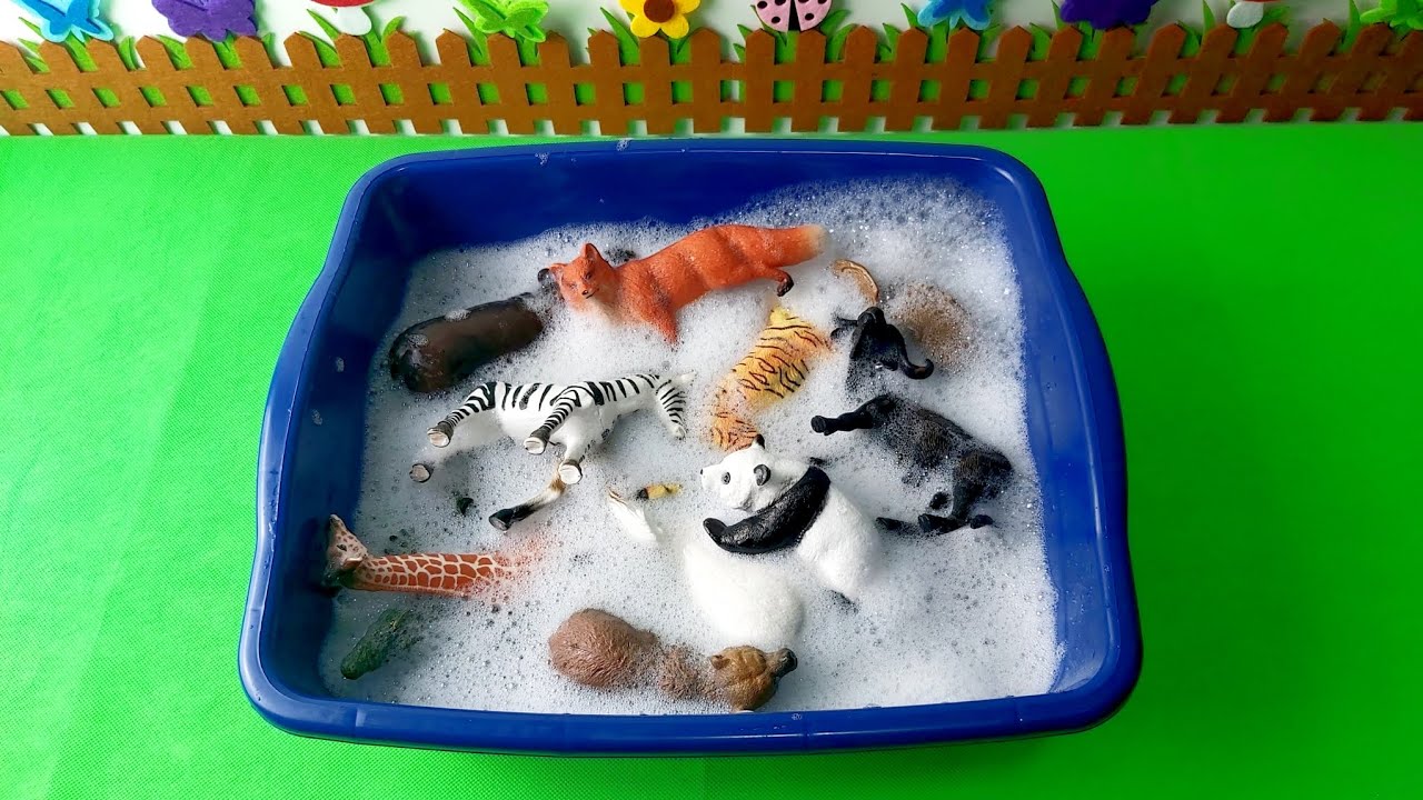 Animals Figurines in Box Full of Bubbles! Learn The Animals Name! - YouTube