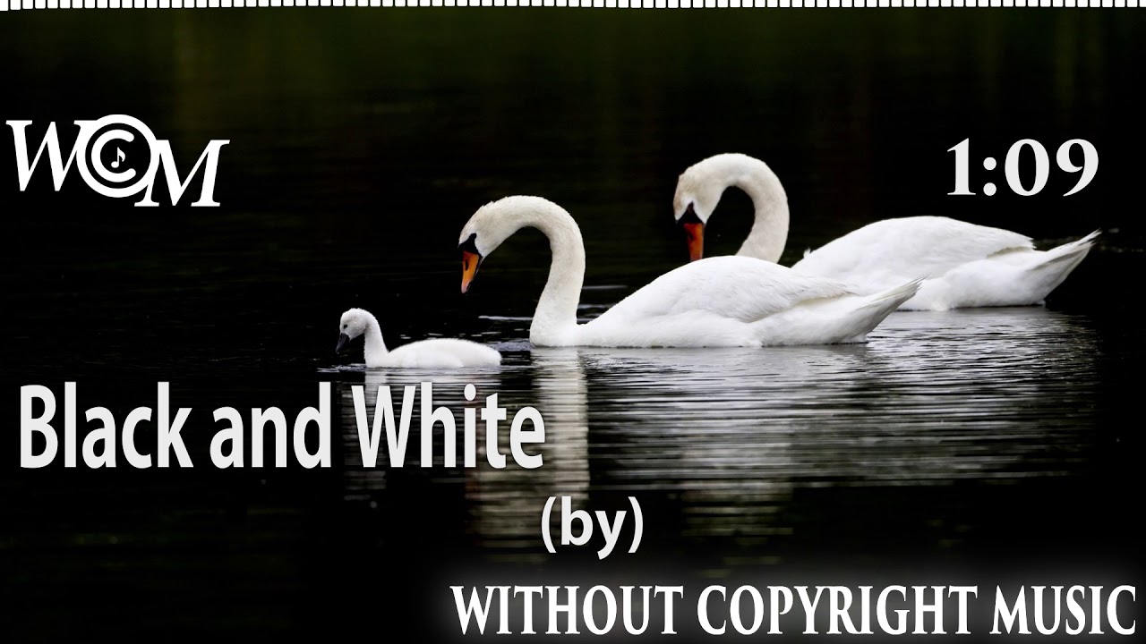 Black and White || Without Copyright Music - WCM || Max Surla, Media ...