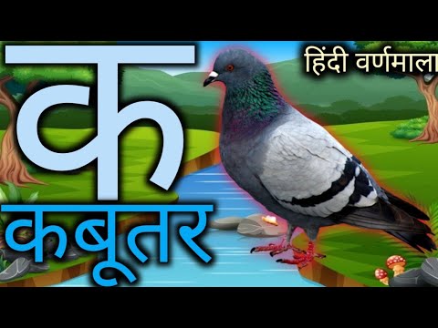 असे अनार । आ से आम हिंदी वर्णमाला ka khaga ghakalse kabutar a se ...