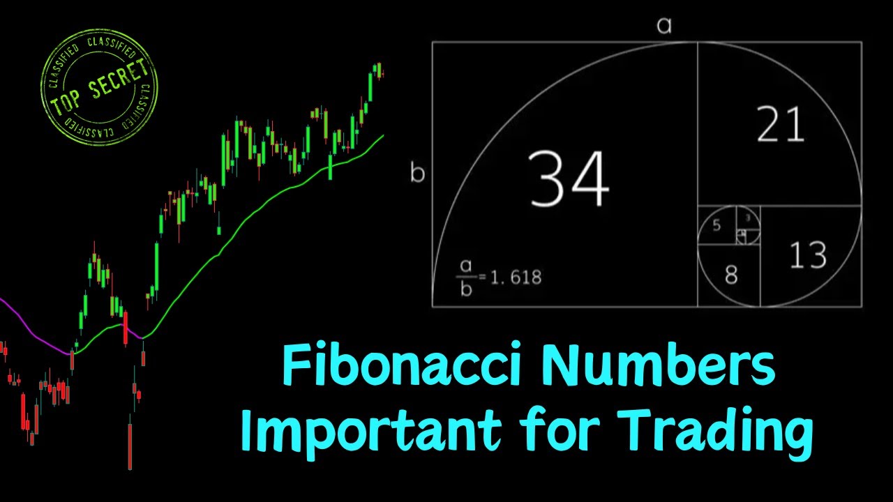 Fibonacci Numbers Important for Trading - YouTube