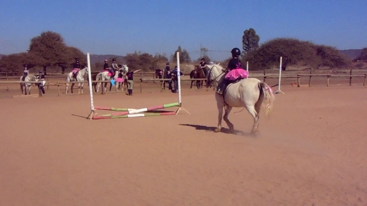 Daniella Visser Horse Riding 40cm Jumping, Marlet Equestrian Center ...