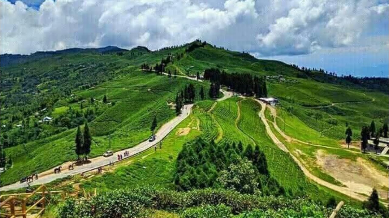 Tea garden in Nepal || Kanyam Ilam || Most Beautiful Tea Garden - YouTube