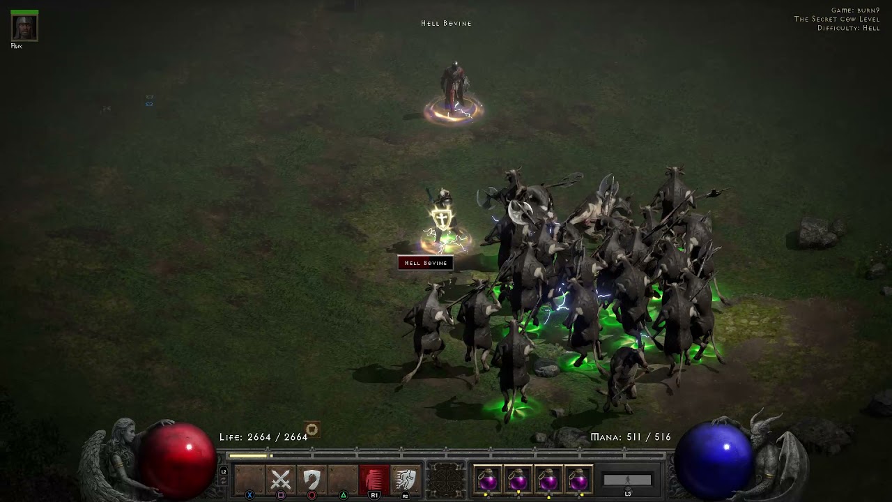 Cham Rune On the Auradin in Cows D2R - YouTube