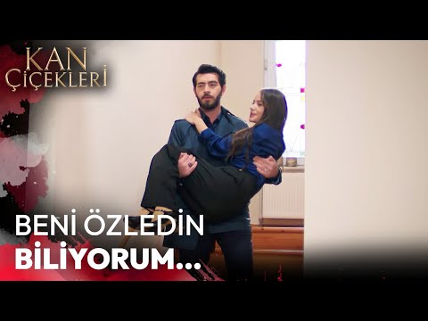 Baran'ın Kollarında Eve Dönüş - Kan Çiçekleri 239. Bölüm
