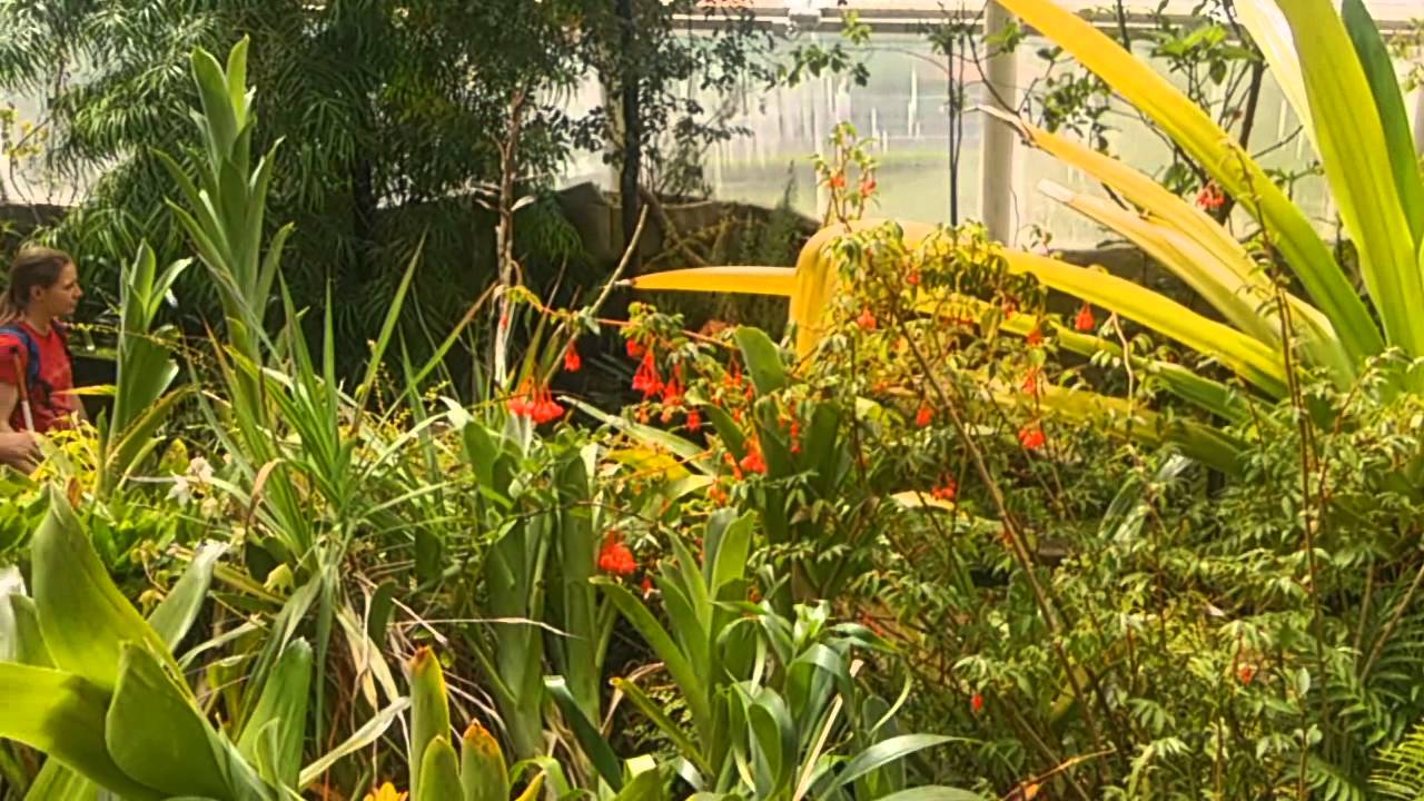 Praha, Troja, botanická záhrada. - YouTube