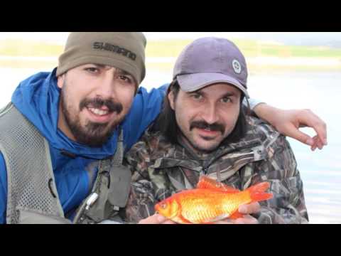 Japon Balığı Avı Float Fishing For Goldfish Malaysia 2015