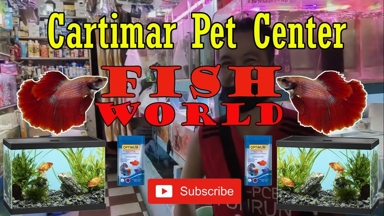 CARTIMAR BUYING AQUARIUM, BETTA FISH AND FISH FOOD | FISH WORLD - YouTube