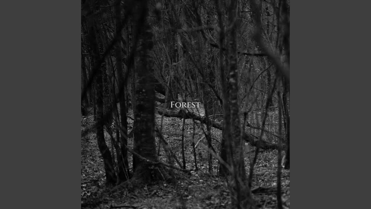 Forest - YouTube Music