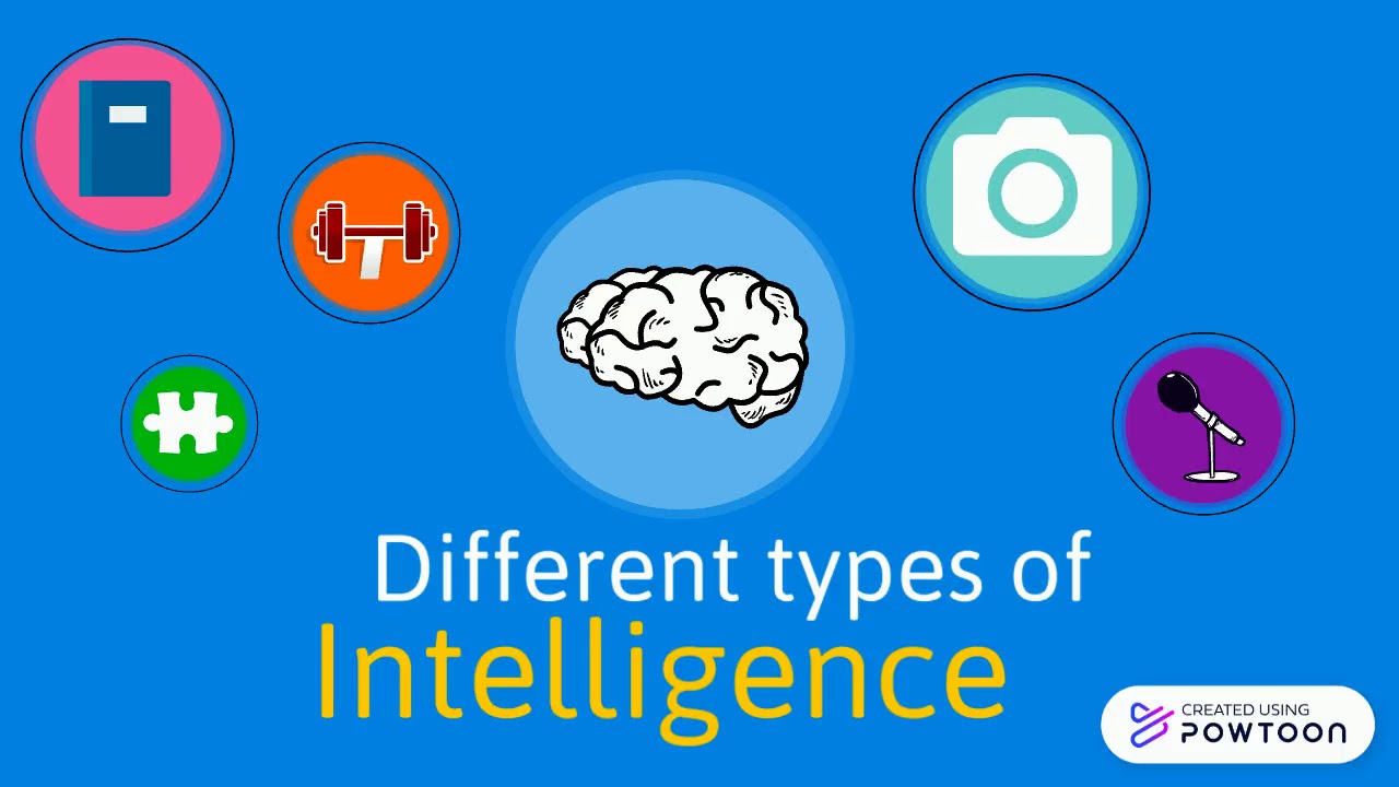 What is Human Intelligence? - YouTube