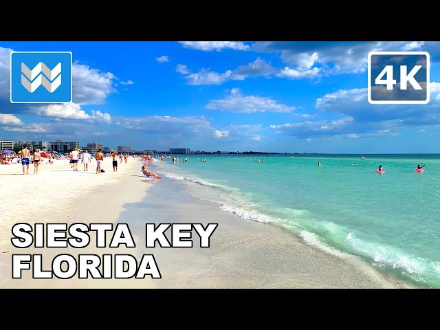 Siesta Key Florida Beach Tumblr Picture Taken On My Morning Walk