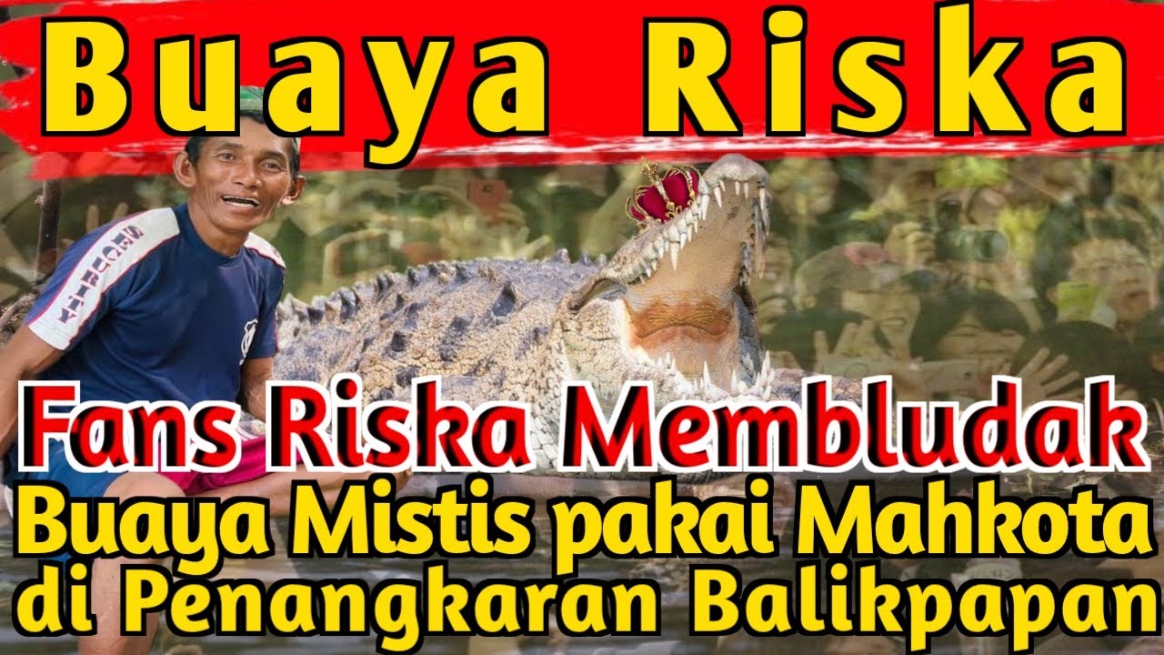 Penggemar buaya Riska membludak 2024,ada juga buaya mistis disini - YouTube