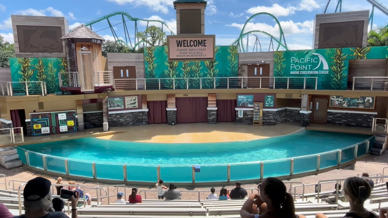 Sea Lion And Otter Spotlight Sea Lion And Otter Theater Seaworld