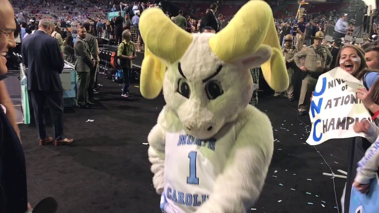 North Carolina Tarheels Mascot Ramses Is A National Champion - YouTube