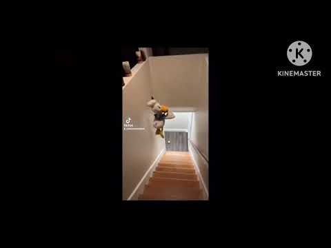 all donald ducc demon screams