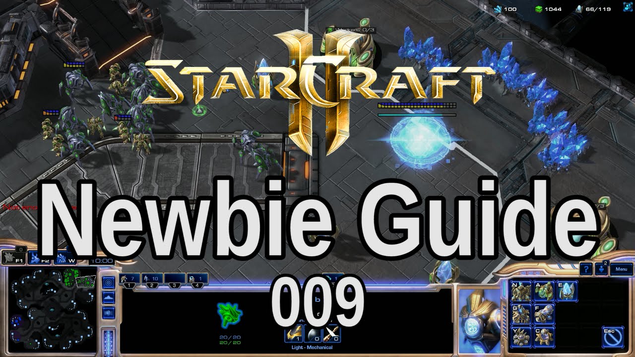 Starcraft 2 Newbie Guide - 009 - Protoss Gameplay - YouTube