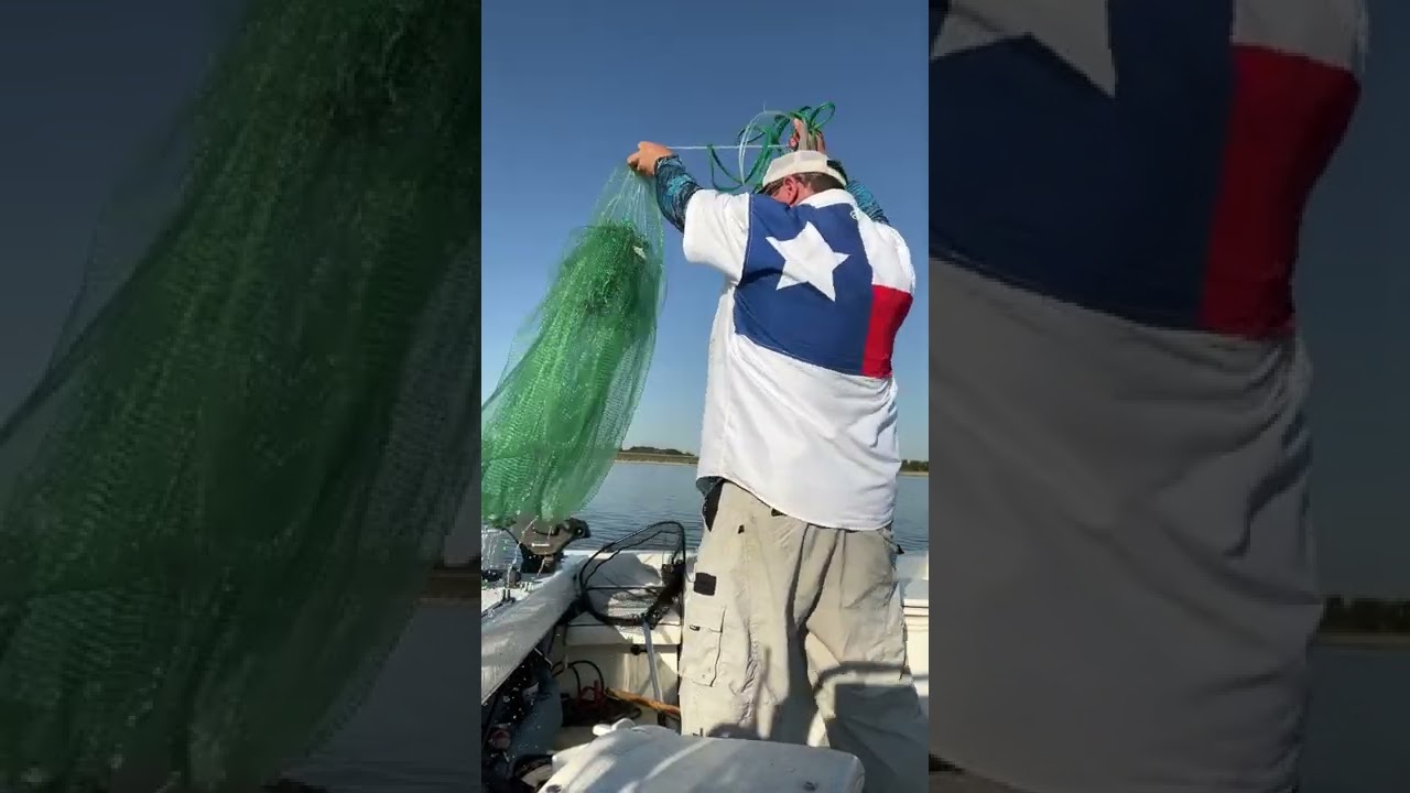 Catching Shad with a Cast Net - YouTube