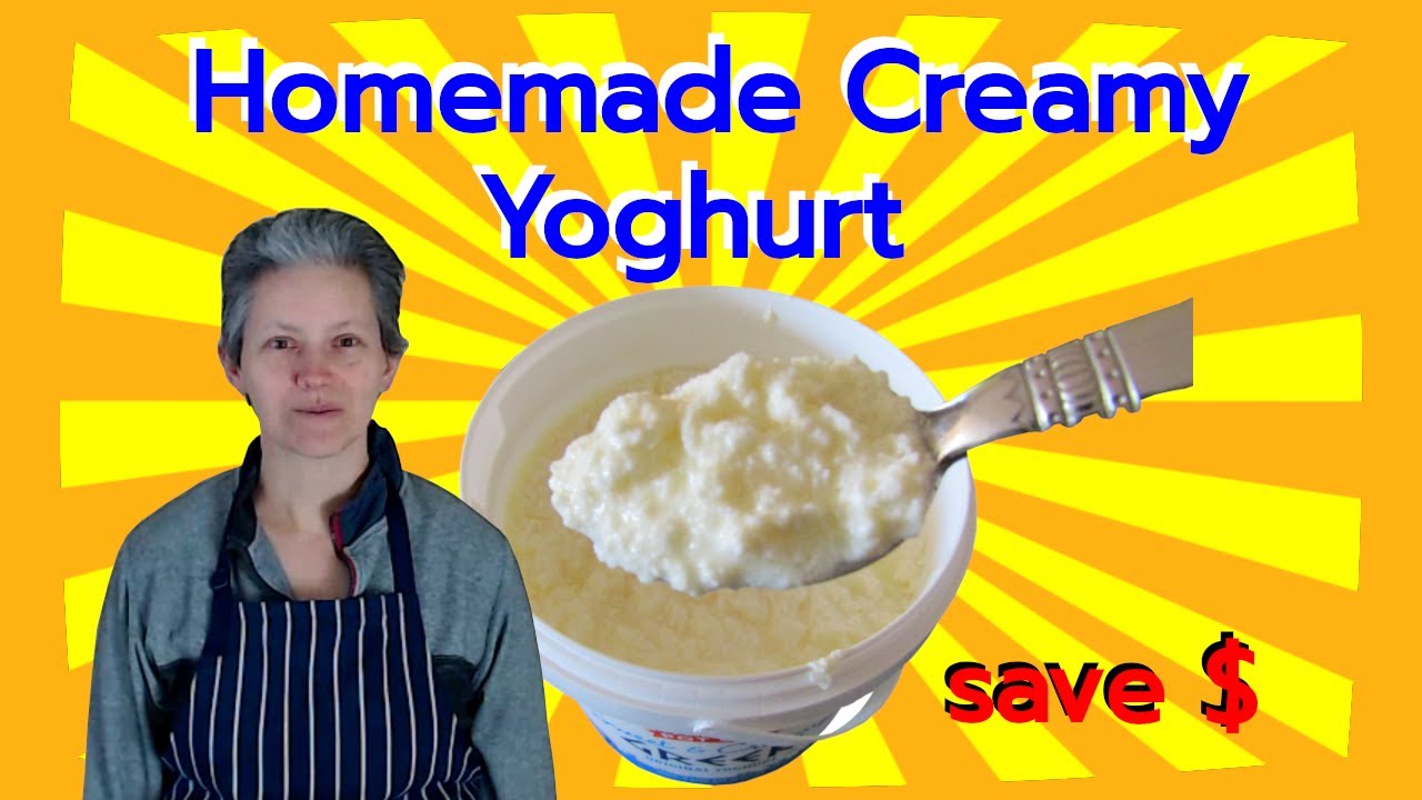 Make Creamy Homemade Plain Yoghurt | Just 2 Ingredients Step By Step ...