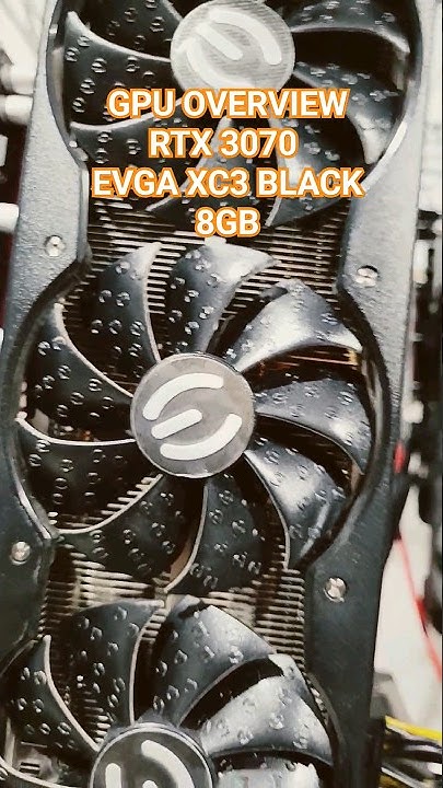 GPU Overview RTX 3070 EVGA XC3 BLACK 8GB #shorts #crypto #gaming #gpu #love #fun - YouTube