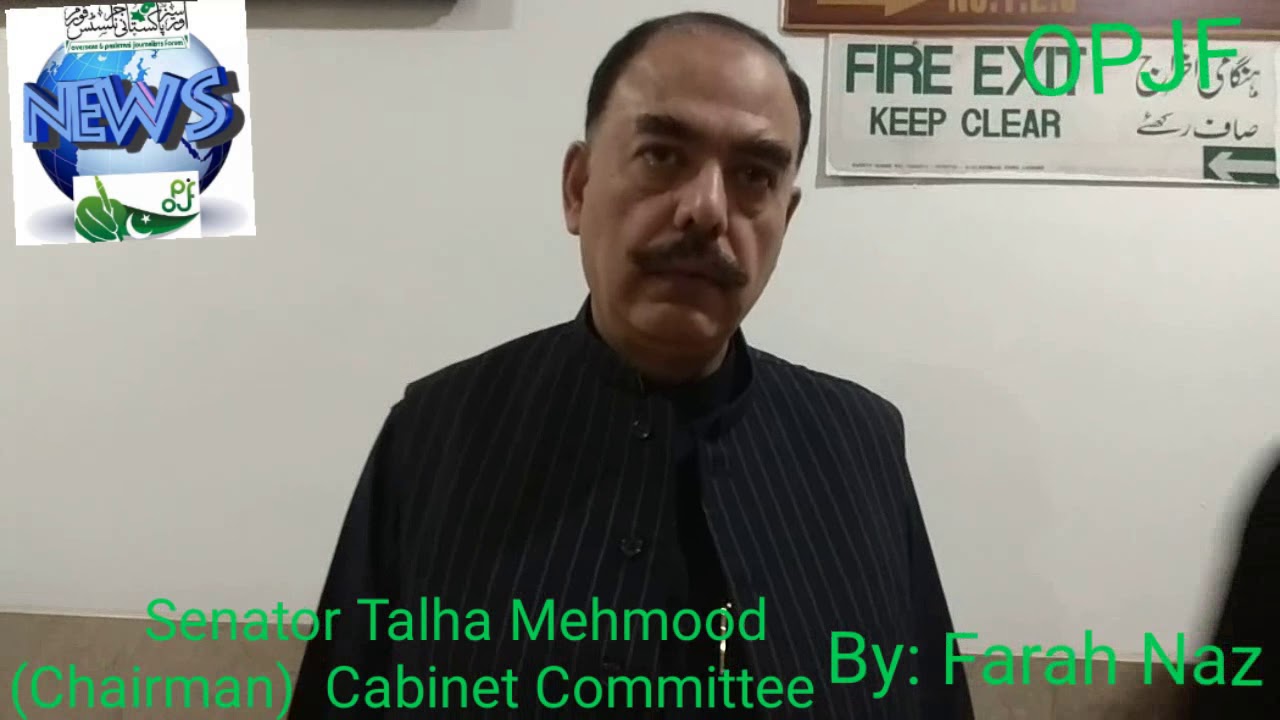 Senator Talha Mehmood (Chairman) Cabinet Committee - YouTube