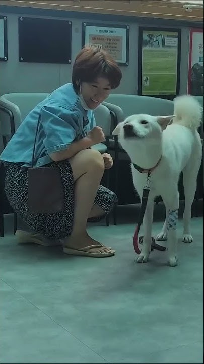 반려견 장염 주의 ⚠️ 아이랑 엄마아빠 지옥경험 🥶 Youtube